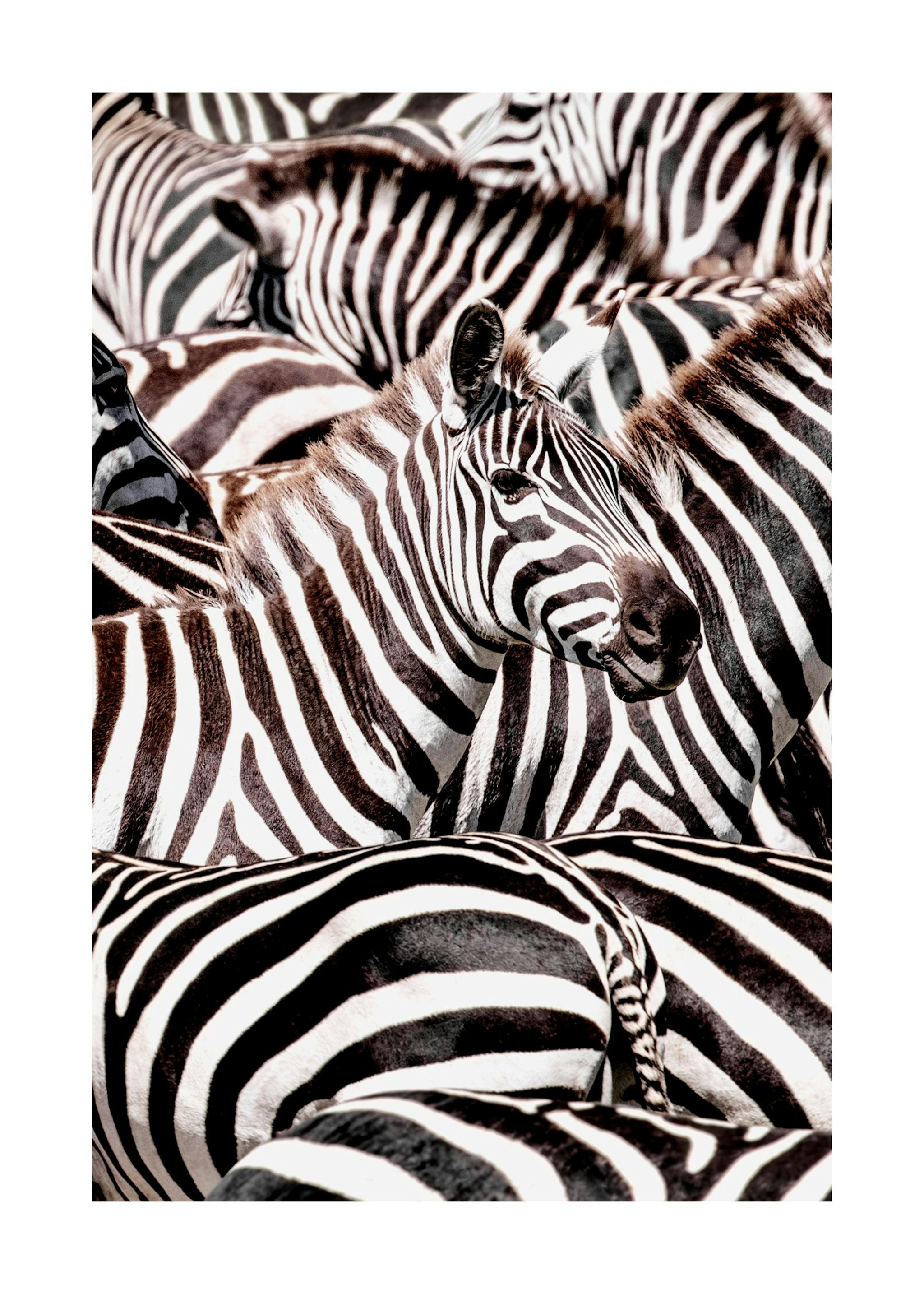 Blue Geometric No2 Plakat – Nowoczesny plakat | Desenio