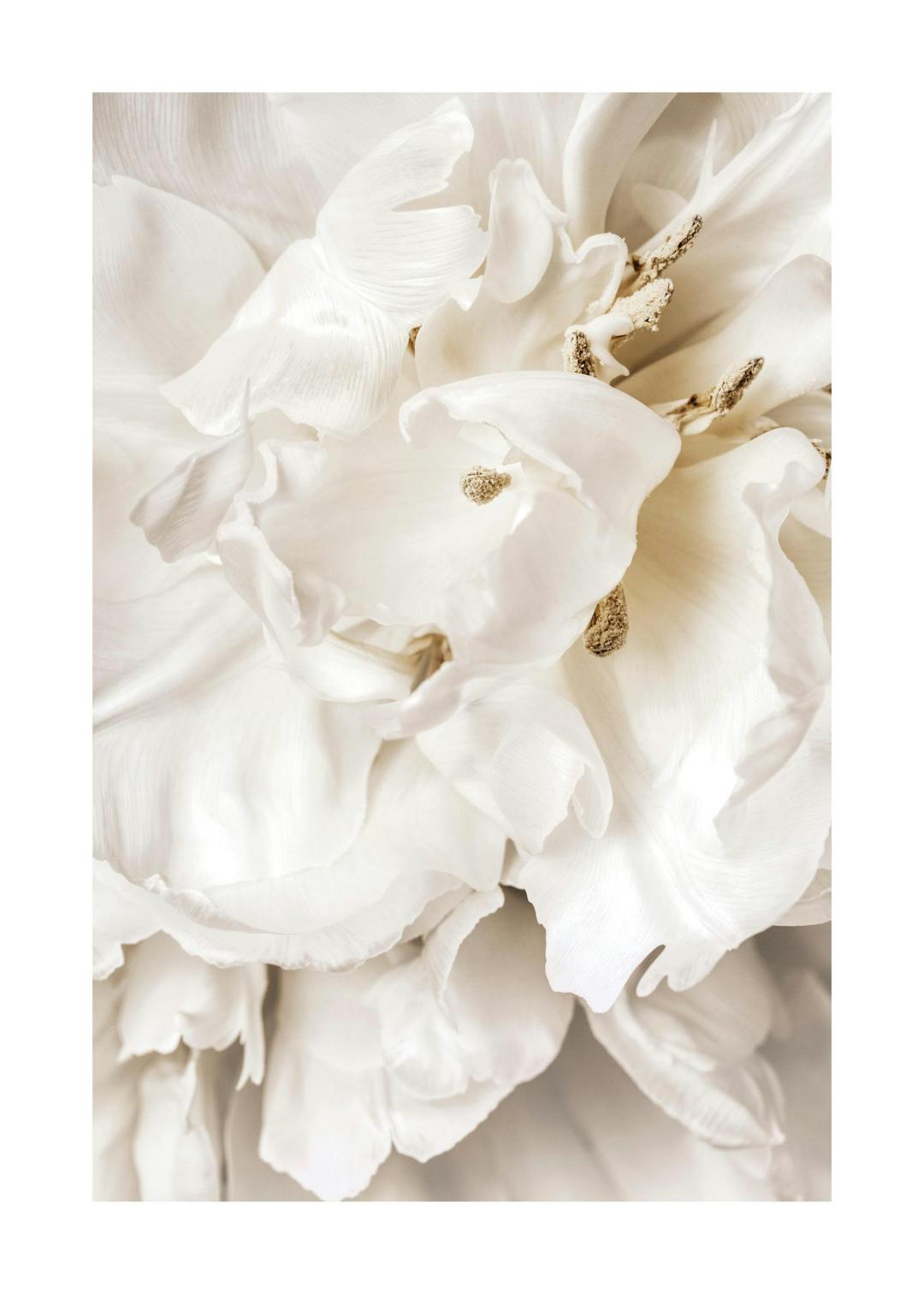 Soft Petals Print – Elegant Floral Poster | Desenio UK