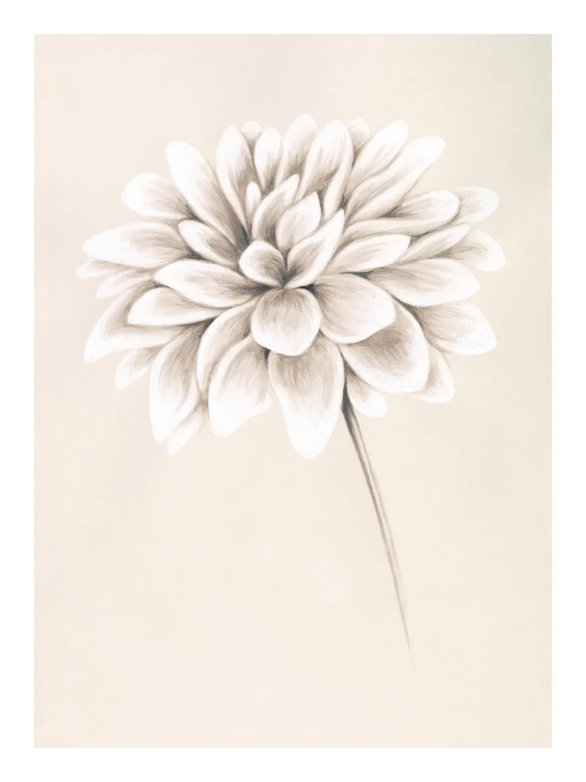 Step By Step Gallery Wall – Beige Print & Poster Set | Desenio