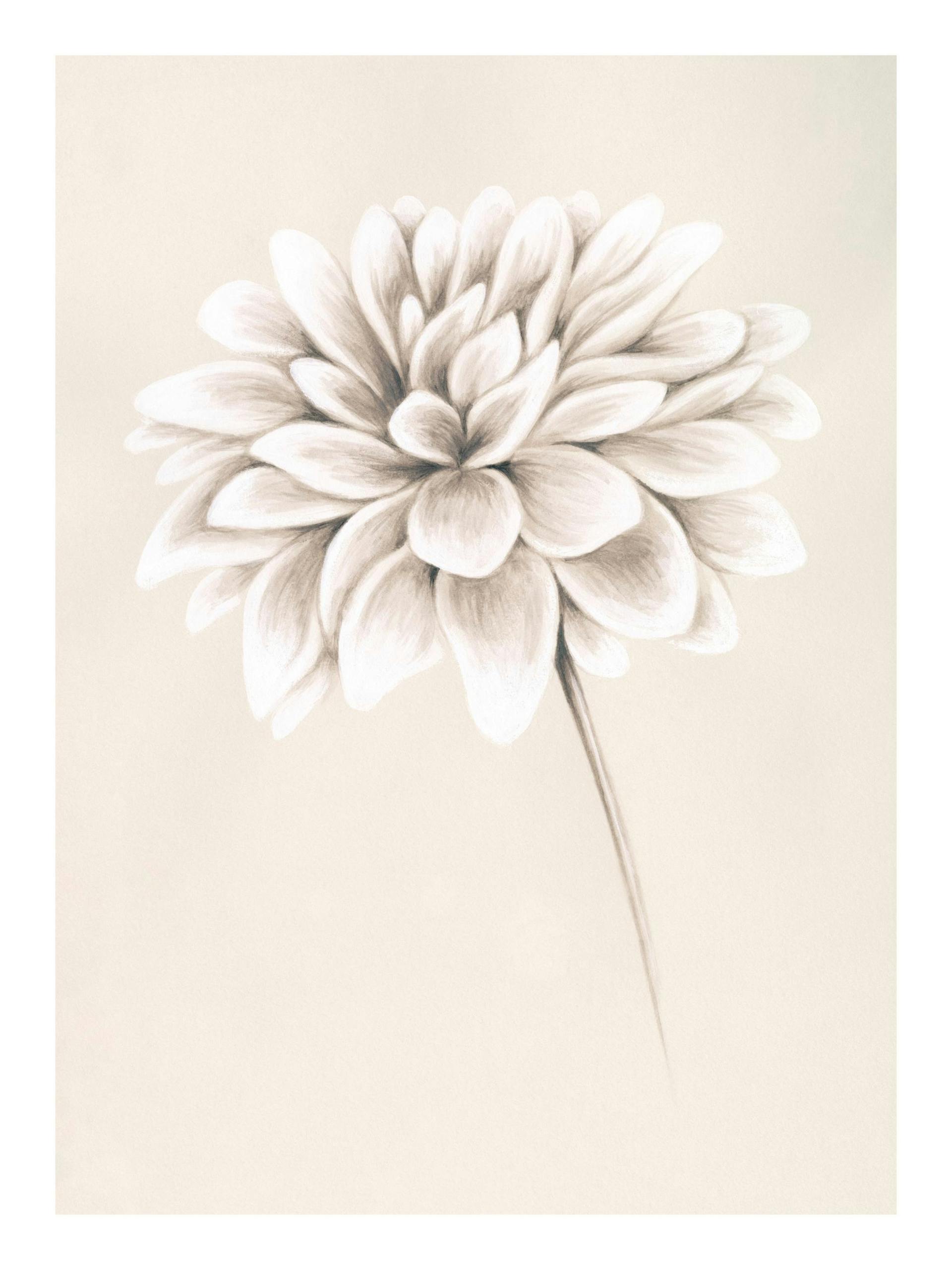 Step By Step Gallery Wall – Beige Print & Poster Set | Desenio