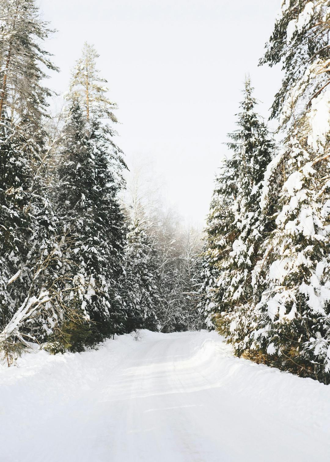 Große Poster online | Große Bilder in 70x100cm | Desenio.de