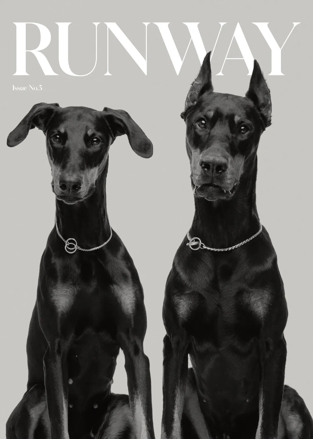 Fashion kunst posters | Chanel en Prada posters | Desenio.nl