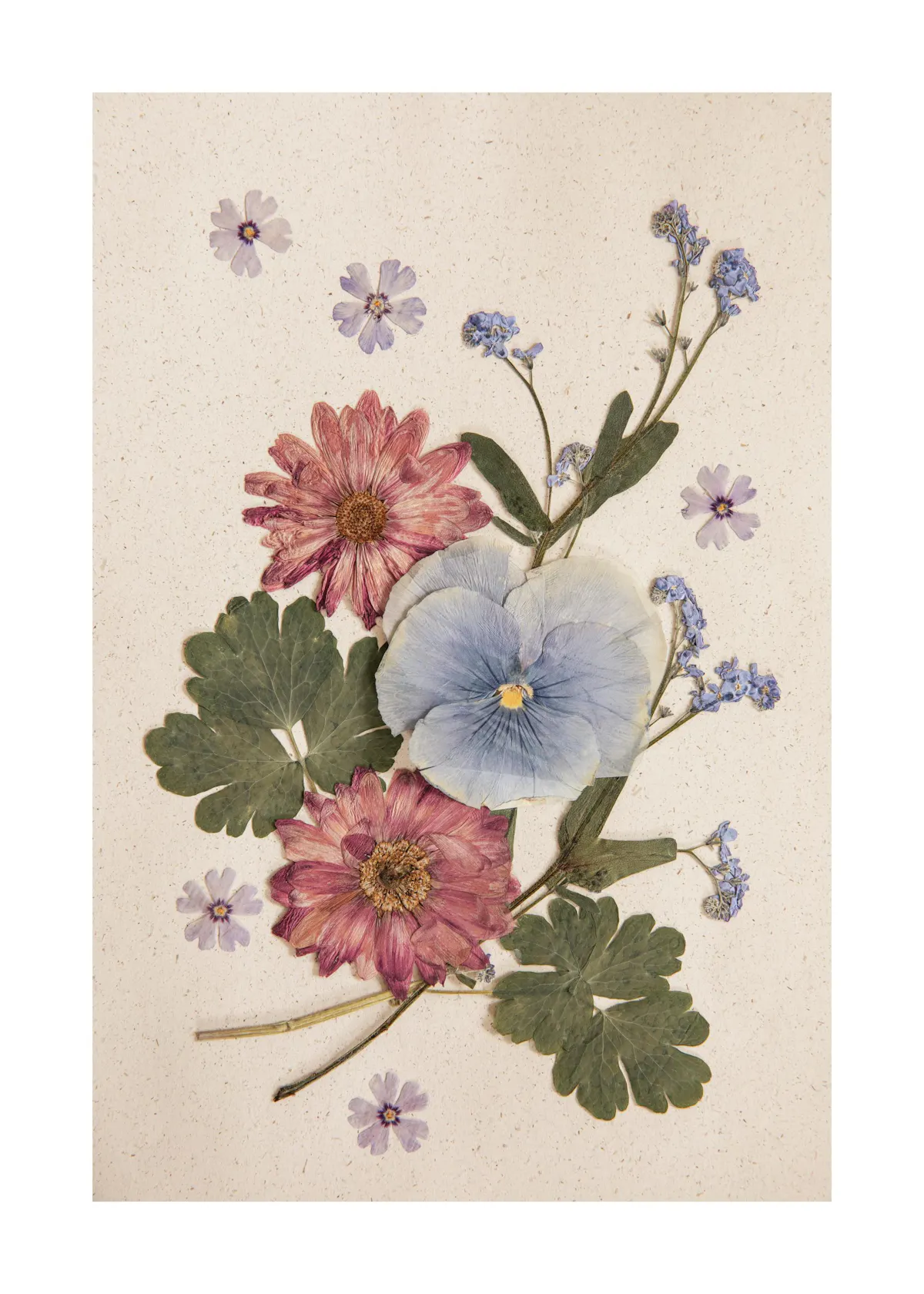 Vintage bloemenposter – Vintage Flowers Two | Desenio.nl