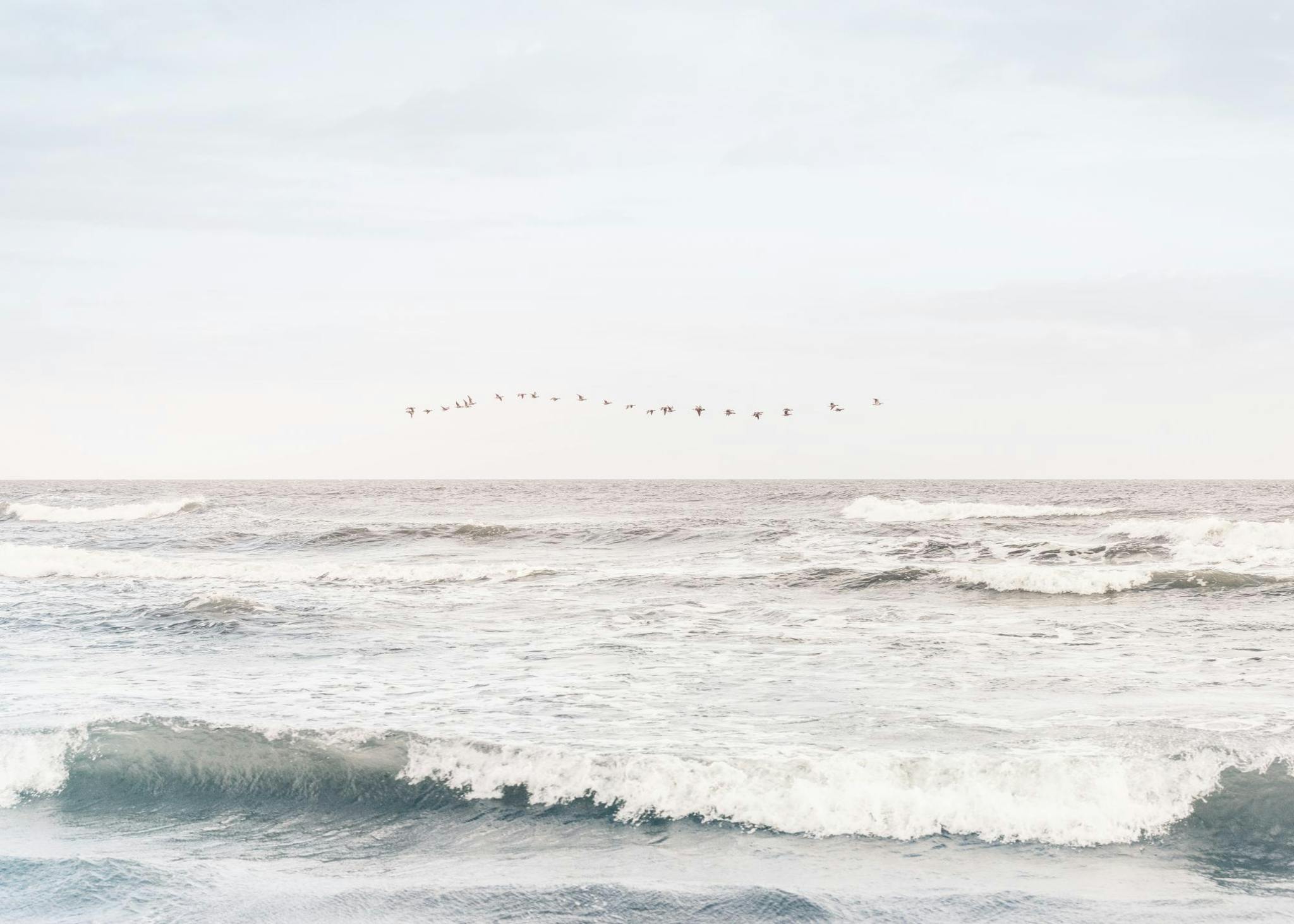 Sous La Mer Print – Ocean-Inspired Poster Art | Desenio