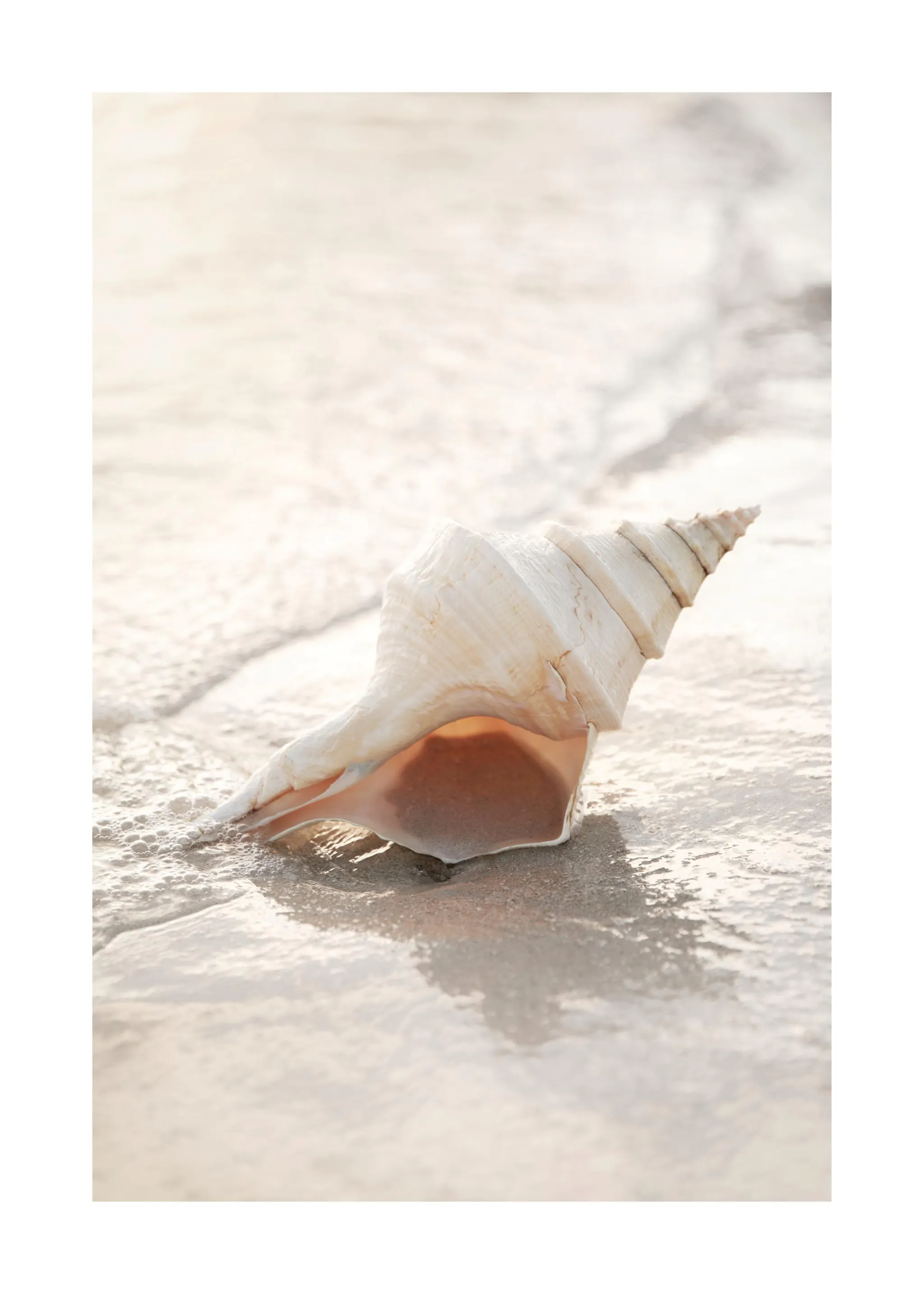 Sous La Mer Print – Ocean-Inspired Poster Art | Desenio