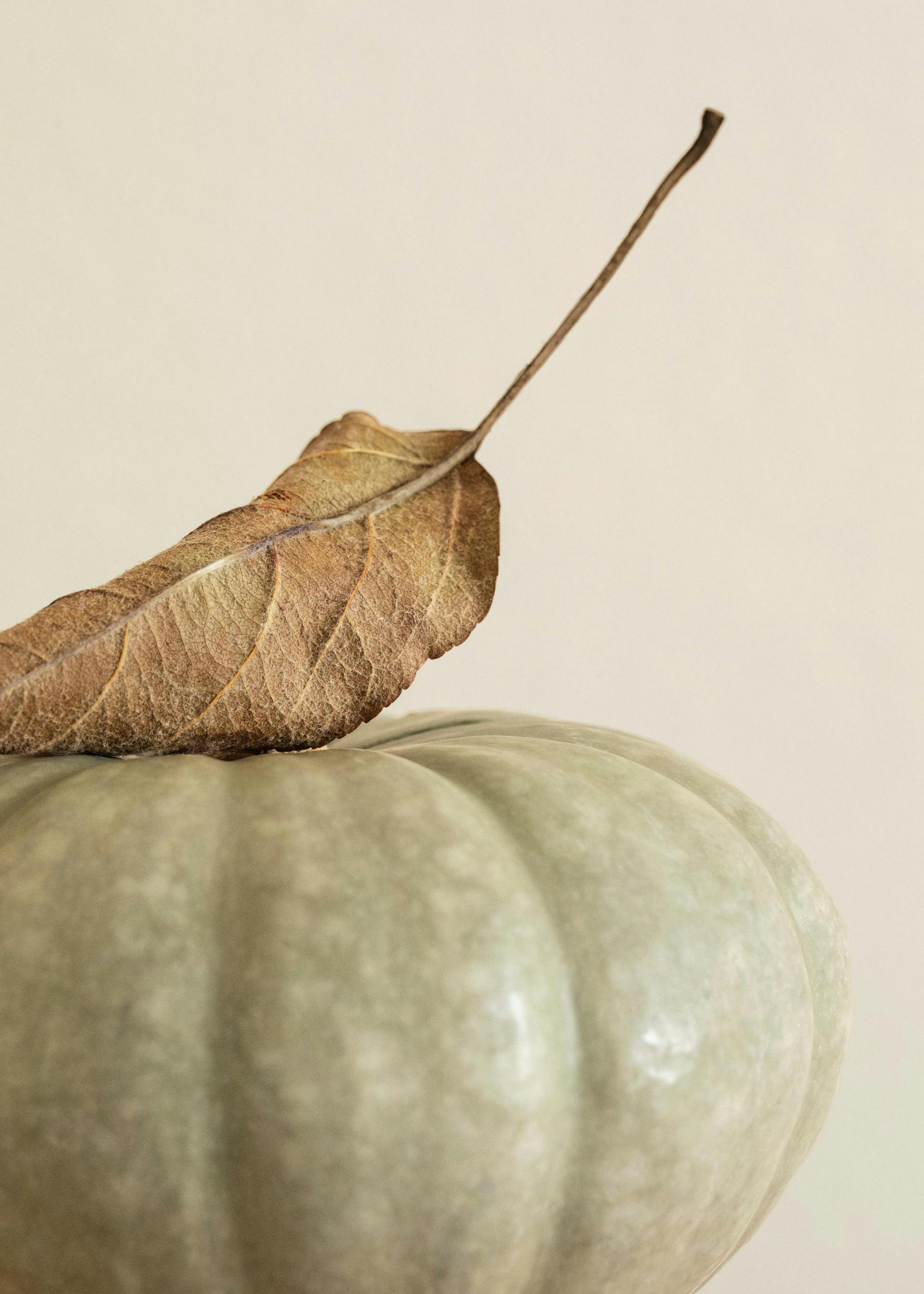 Affiches automnales | Desenio.fr