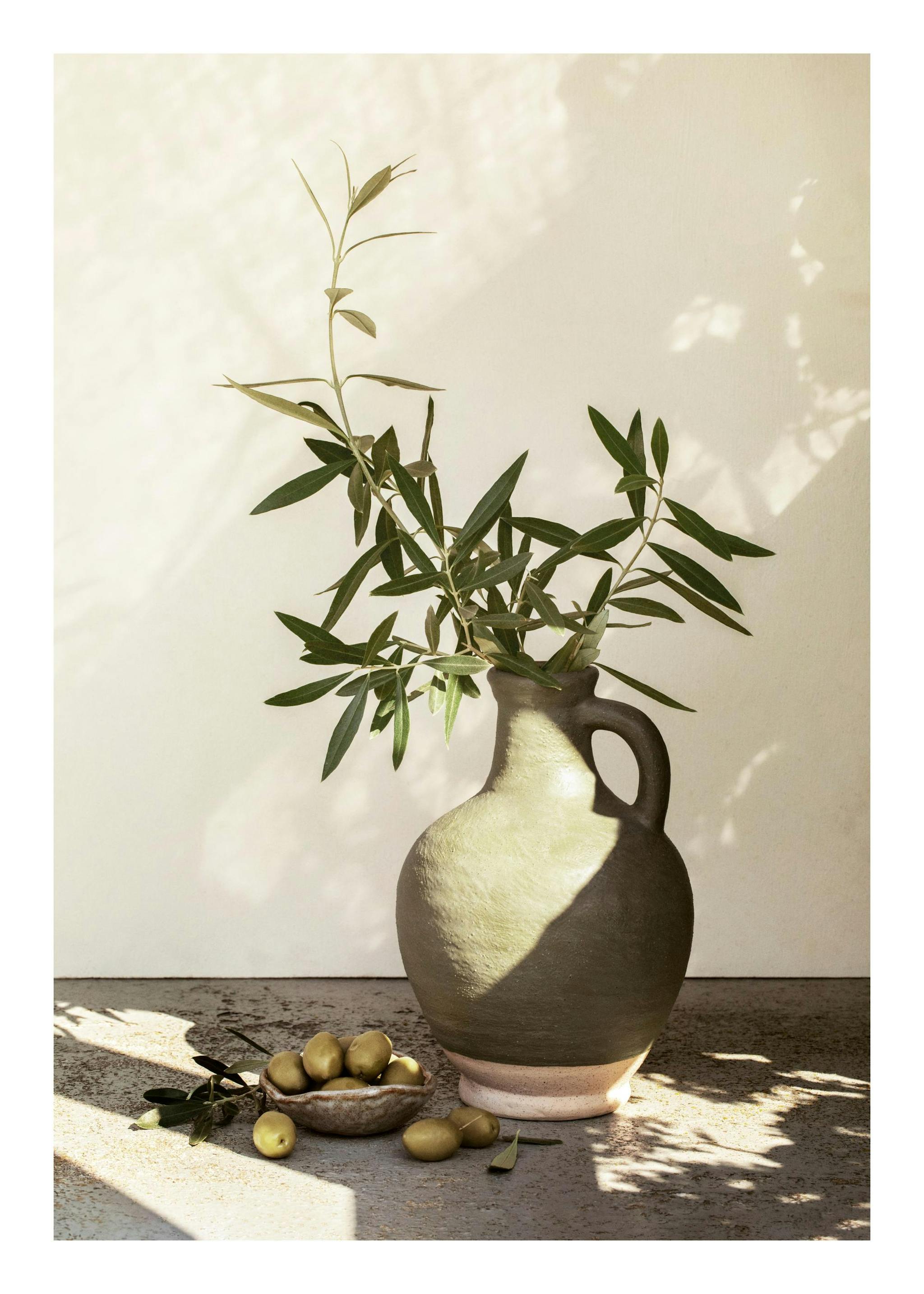 Rustic Olive Branch Print - Mediterranean Poster | Desenio CA