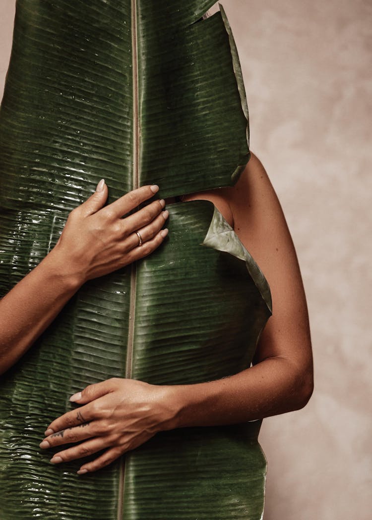 Studio Soluna | Affiches de nature | Desenio