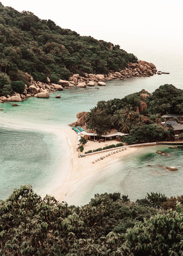 Studio Soluna | Affiches de nature | Desenio