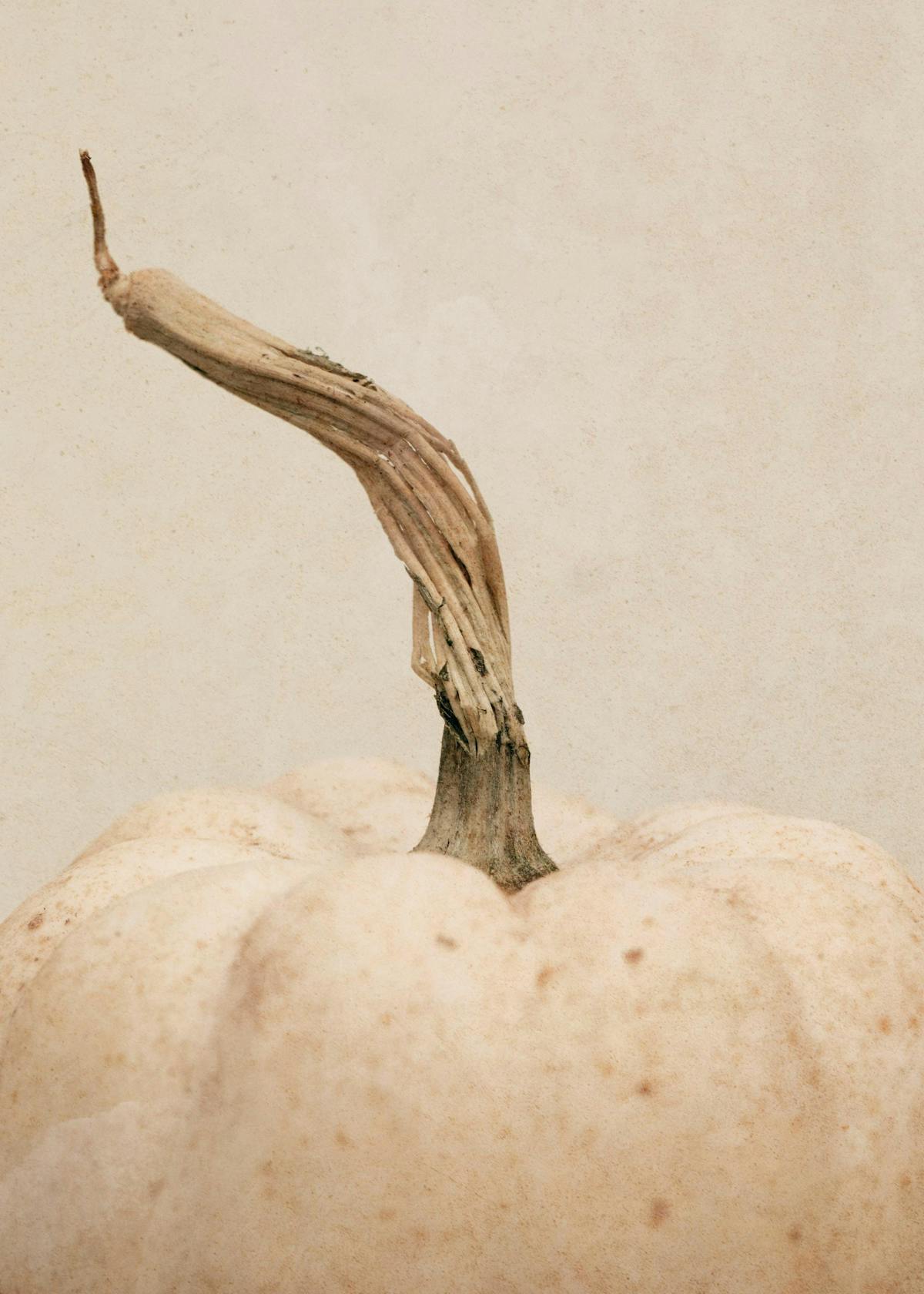 Rustic Geometry No1 Print