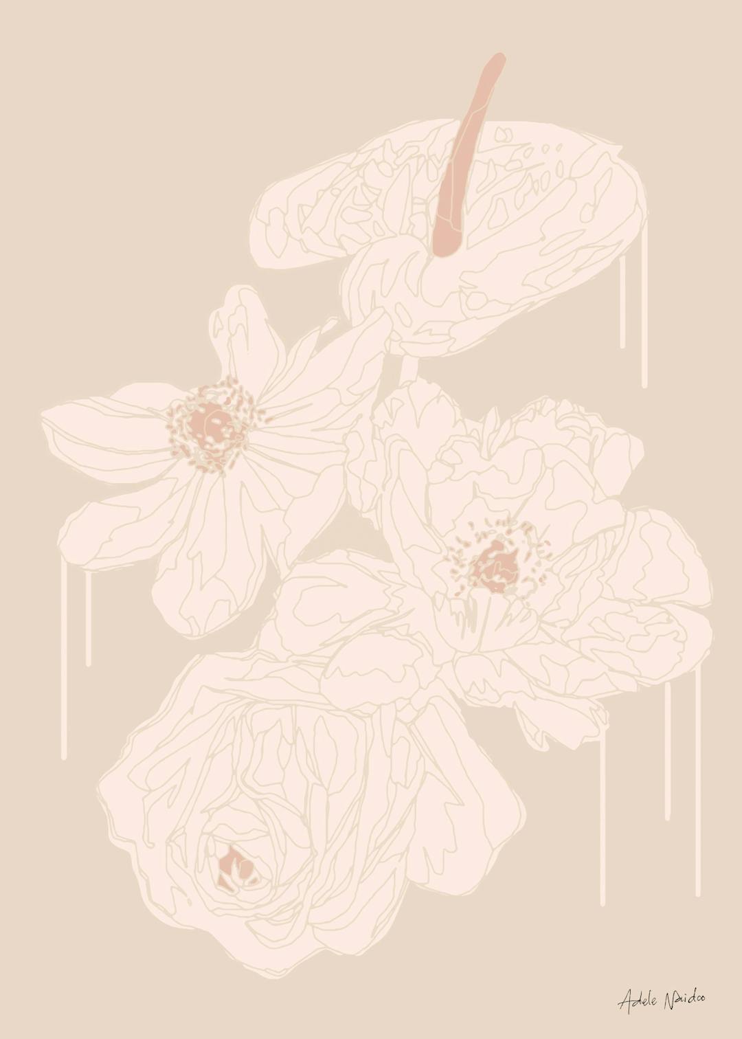 Adele Naidoo Poster – Anthuriums i blom | Desenio.se