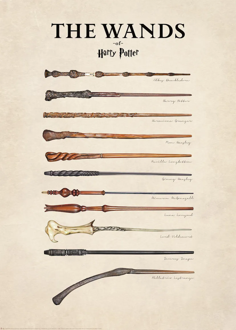 Harry Potter™ Marauder's Map Poster | Desenio.se