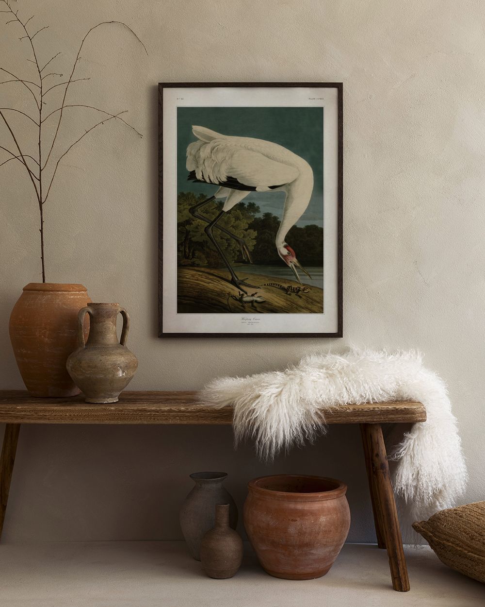 Whooping Crane Print – Illustrated Bird Poster | Desenio UK