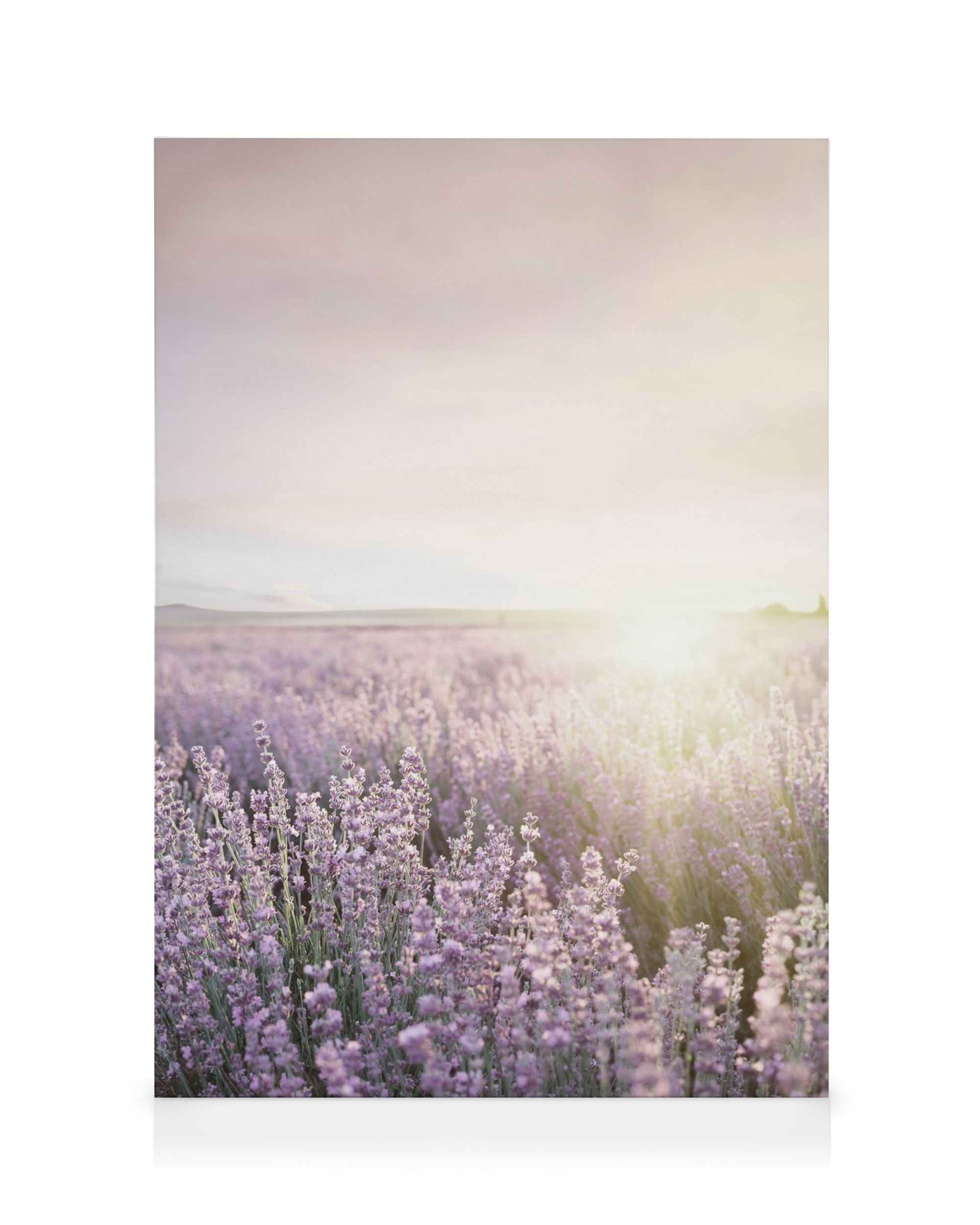 Lavender Field Toile – Paysage Champêtre Pastel | Desenio CA