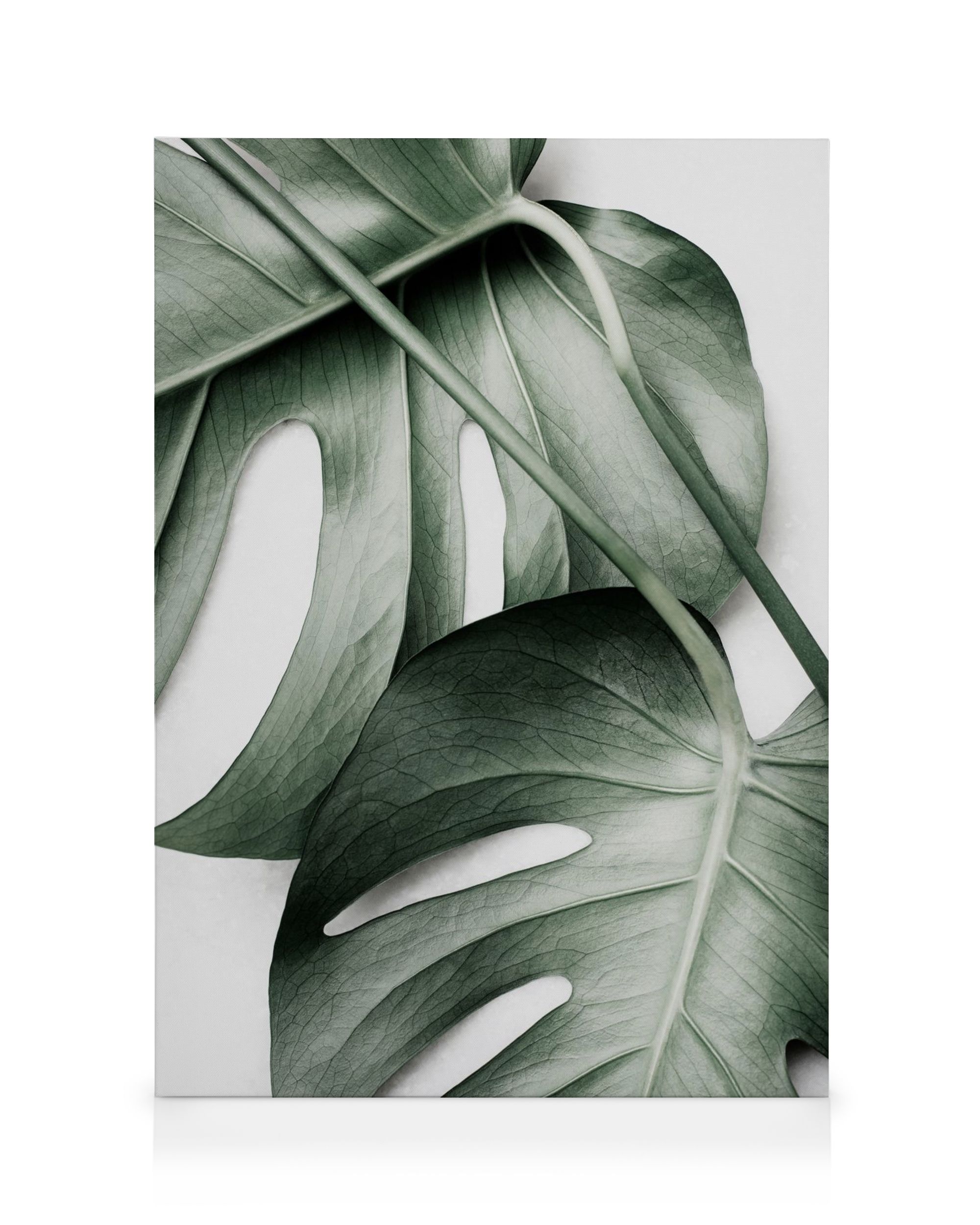 Monstera Leaf Canvas Print – Botanical Wall Art Poster | Desenio