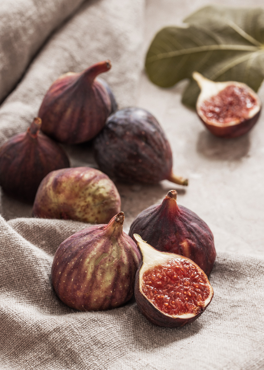 Fresh Fig Print