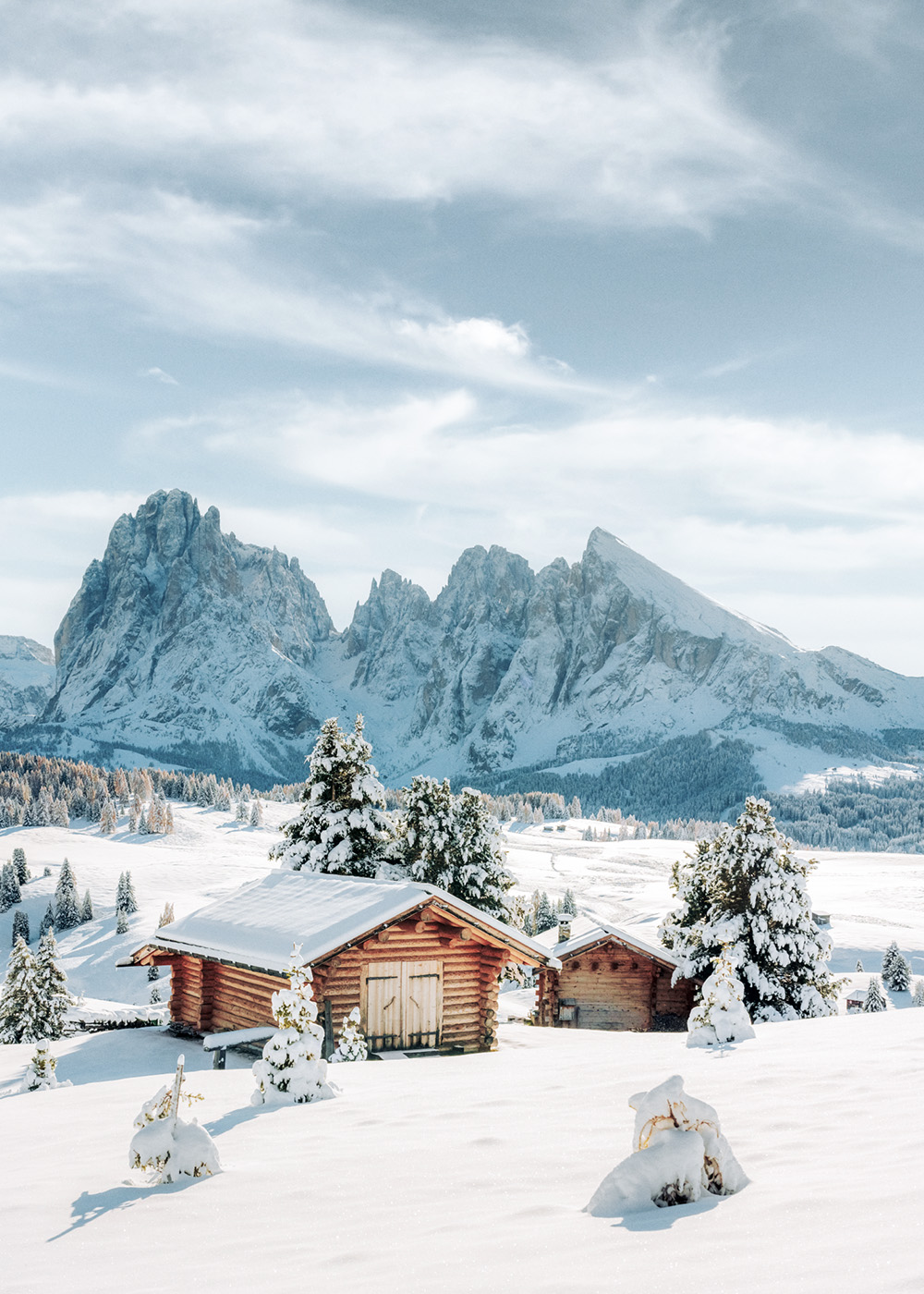 Snowy Seiser Alm Poster