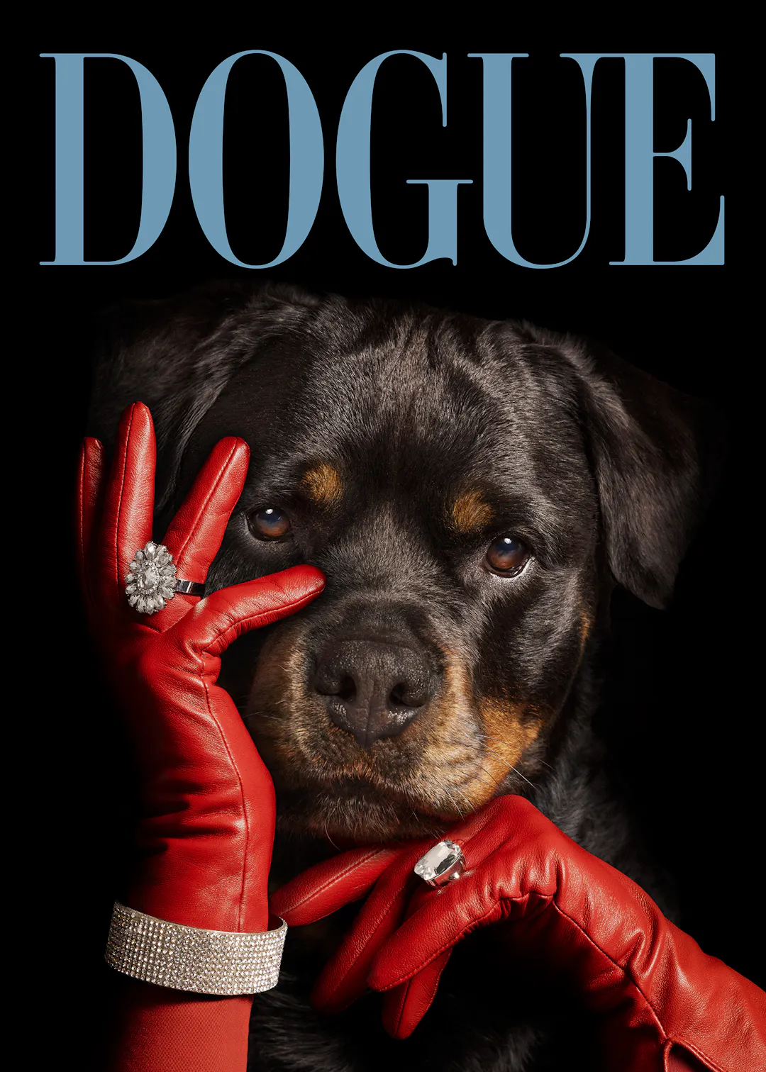 Dogue Print Poster – Fun Dog Wall Art | Desenio UK