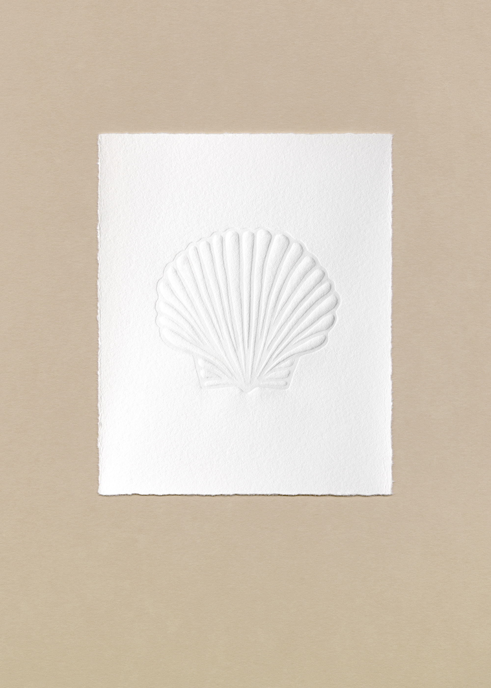 Embossed Scallop Poster
