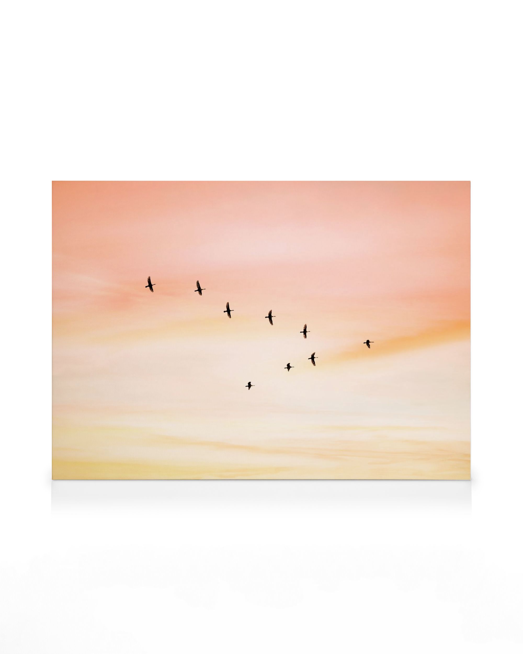 Sunset Birds Toile - Oiseaux au Coucher du Soleil | Desenio CA