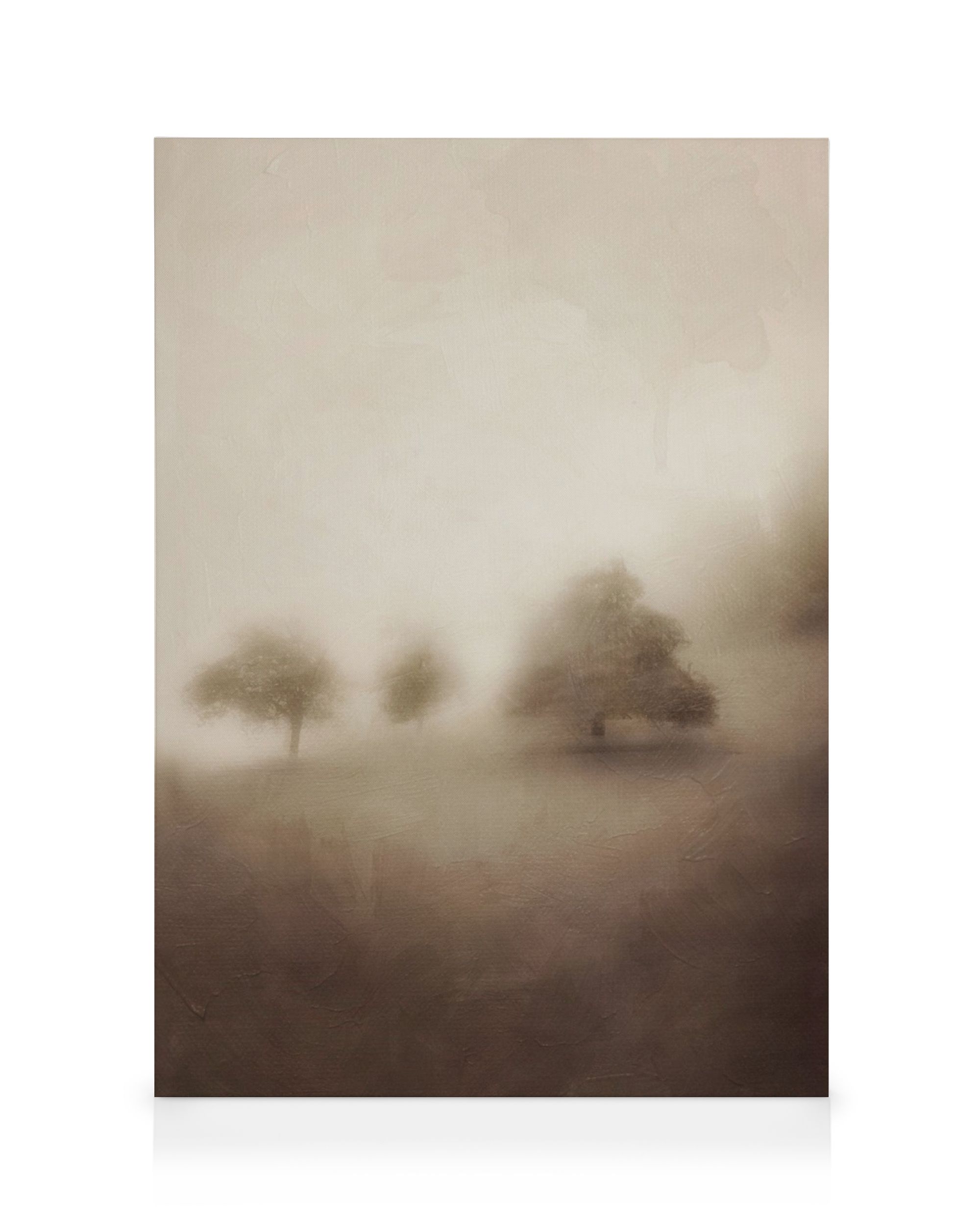 Silent Dawn Stampa su Tela